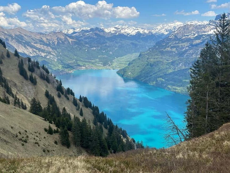 Interlaken: Summit the Augstmatthorn with a Swiss Triathlete - Key Points