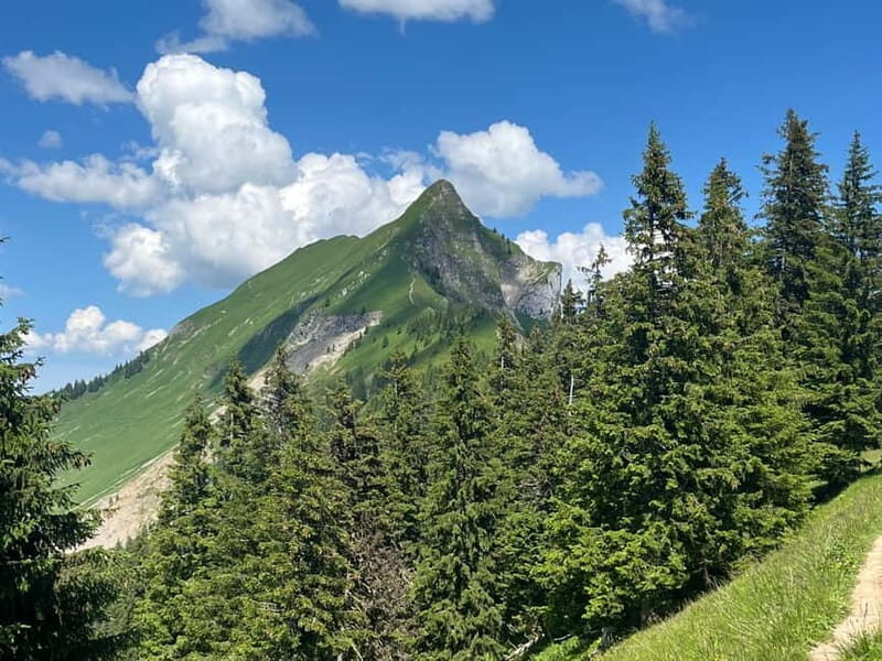 Interlaken: Summit the Augstmatthorn with a Swiss Triathlete - What You Need to Know: Practical Details