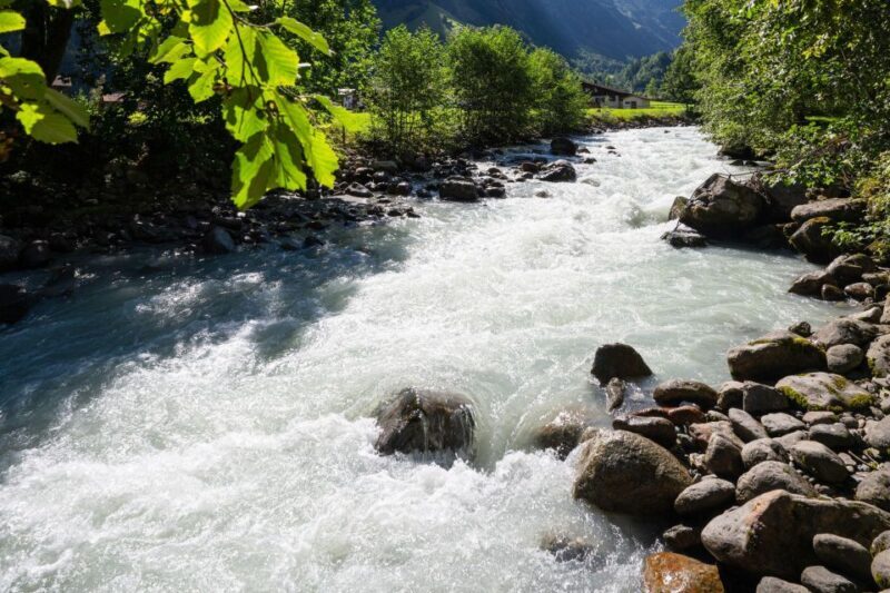 Interlaken Valley E-Bike Tour: Rivers, Lakes & Forests - The Experience in Detail