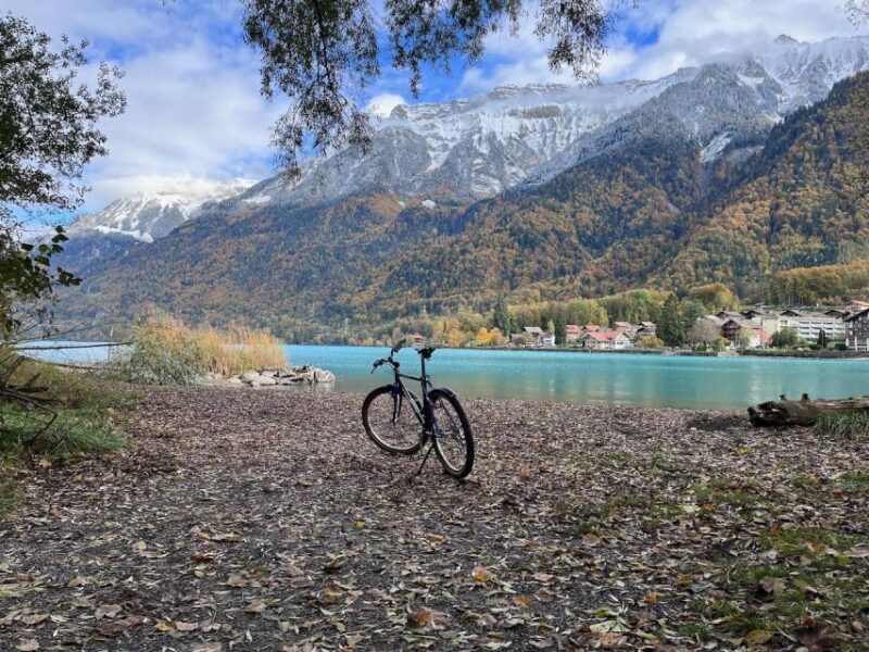 Interlaken Valley E-Bike Tour: Rivers, Lakes & Forests - Who Should Book This Tour?