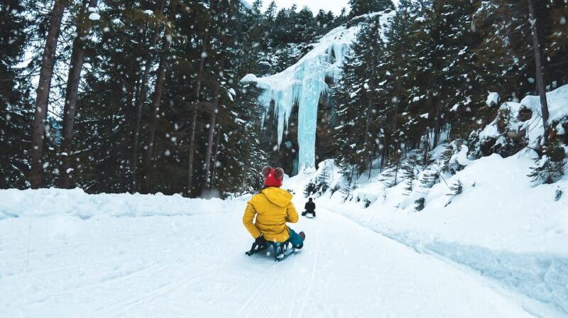 Interlaken: Winter Alpine Adventure - Snowshoe and Sledding - Authenticity and Reviews
