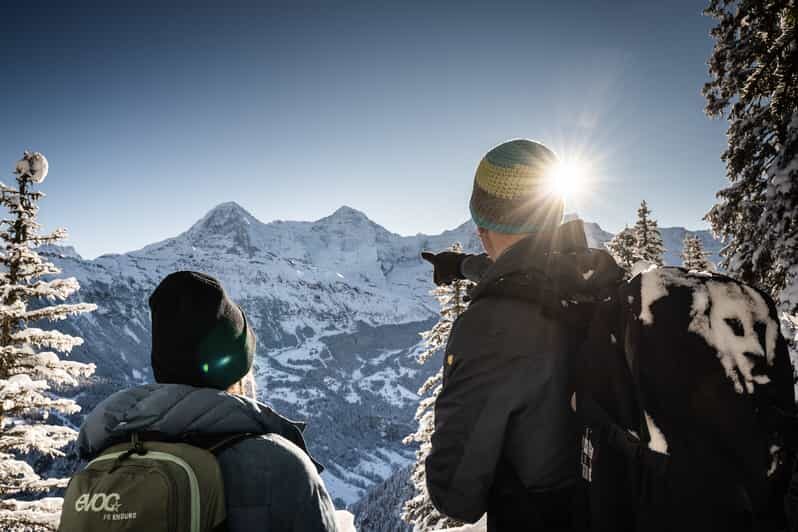 Interlaken: Winter Alpine Adventure - Snowshoe and Sledding - Why Consider This Tour?