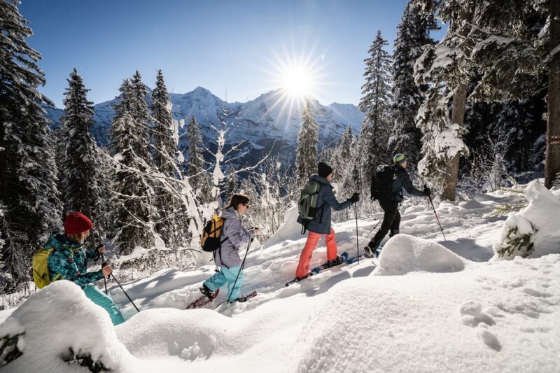 Interlaken: Winter Alpine Adventure - Snowshoe and Sledding - Who Should Book This Tour?