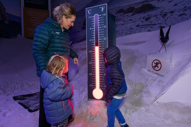 International Antarctic Centre General Admission Ticket - A Closer Look at the Experience