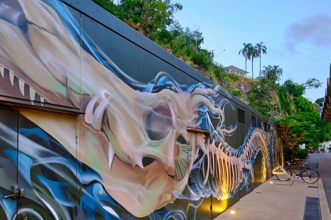 International Street Art Walking Tour, Brisbane - An Overview of the Tour Experience