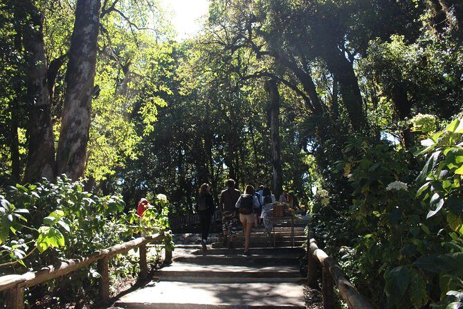 Inthanon Day Trip from Chiang Mai with Lunch - Group or Private - Why This Tour Might Be Perfect for You