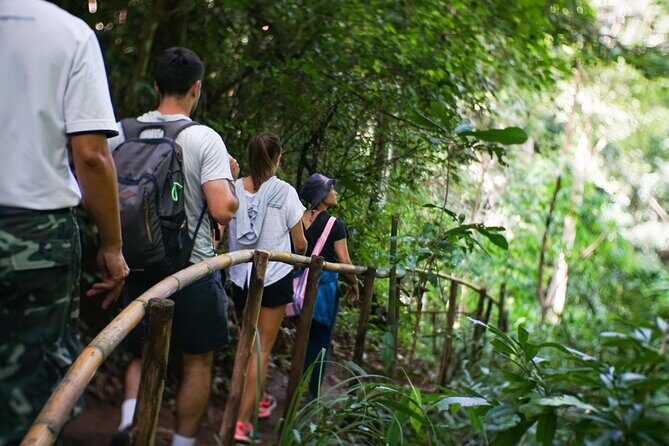 Inthanon National Park Tour with Soft Hike at Pha Dok Siew Trail - A Deep Dive into the Inthanon Experience