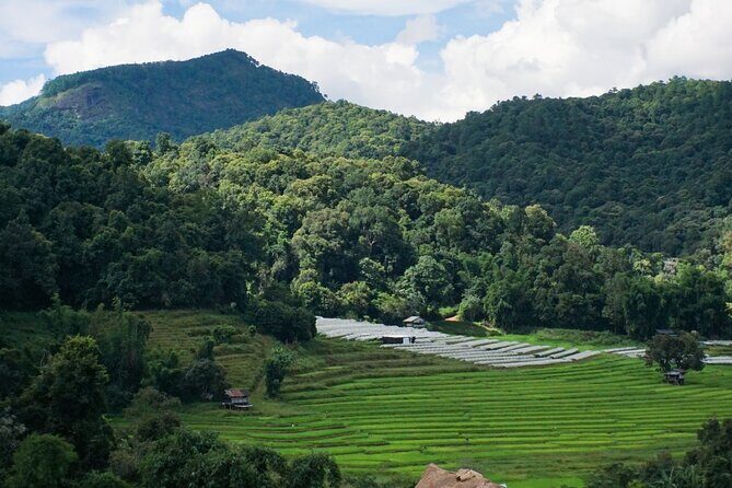 Inthanon National Park Tour with Soft Hike at Pha Dok Siew Trail - Who Is This Tour Best For?