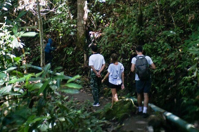 Inthanon National Park Tour with Soft Hike at Pha Dok Siew Trail - The Sum Up