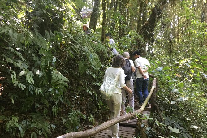 Inthanon Small-Group with Kew Mae Pan Trail from Chiang Mai include Lunch - Twin Pagodas and Hmong Market: Optional Stops