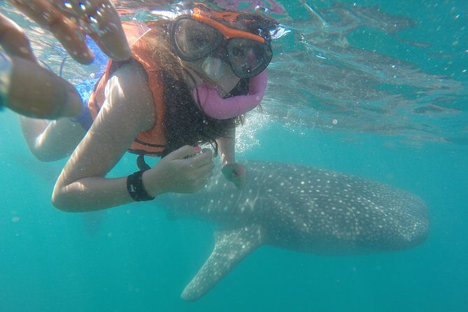 Intimate Eco-Friendly Whale Shark Encounter - Premium Service - Discovering the Whale Shark Encounter in La Paz: An In-Depth Review