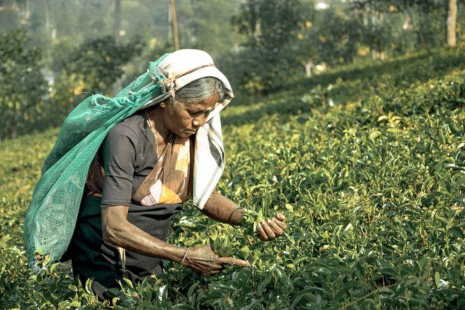 Into the Hills (7 Days) - Analyzing the Value