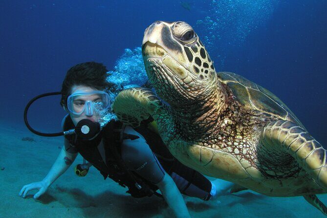 Intro/Refresher Dive Swim Ability Required - What to Expect from the Maui Intro Scuba Experience