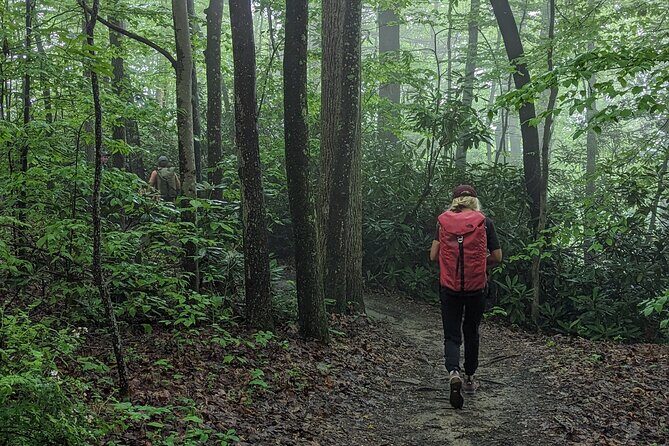 Intro to Camping - Final Thoughts: Who Will Love This?