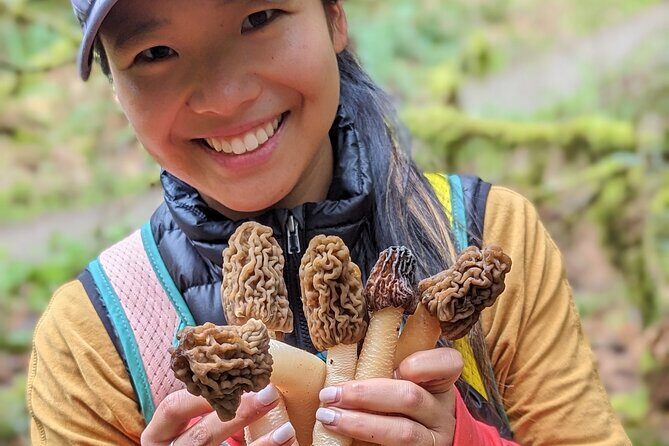 Intro to Seattle Mushroom Foraging - Key Points