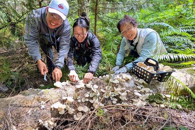 Intro to Seattle Mushroom Foraging - What to Expect from the Mushroom Foraging Tour