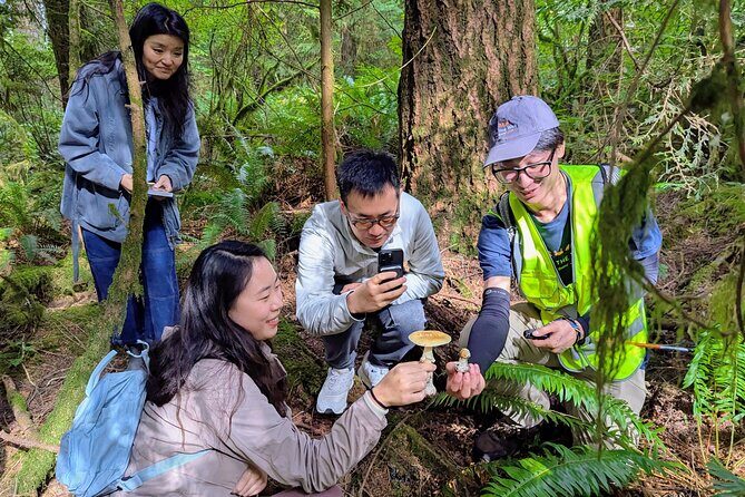 Intro to Seattle Mushroom Foraging - What Makes This Tour Stand Out?