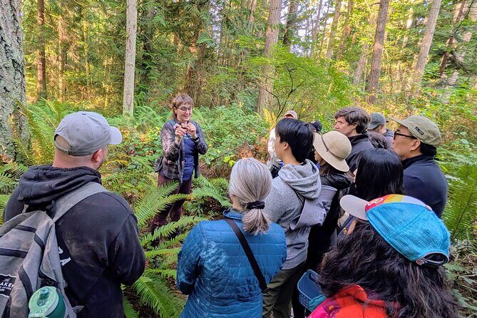 Intro to Seattle Mushroom Foraging - Price and Value