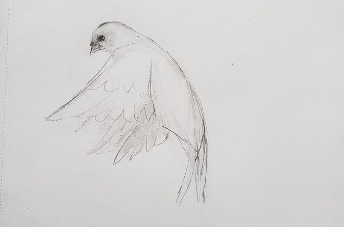 Introduction to Drawing - The Group Size and Atmosphere