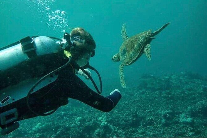 Introductory Beach Scuba Dive - Final Thoughts: Is This Tour Right for You?