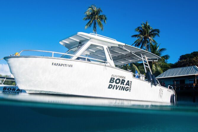 Introductory Dive in Bora Bora (afternoon) - FAQ