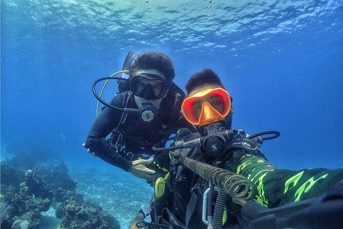 Introductory Diving Class in the Cozumel Reefs - What to Expect: A Clear Breakdown of the Experience
