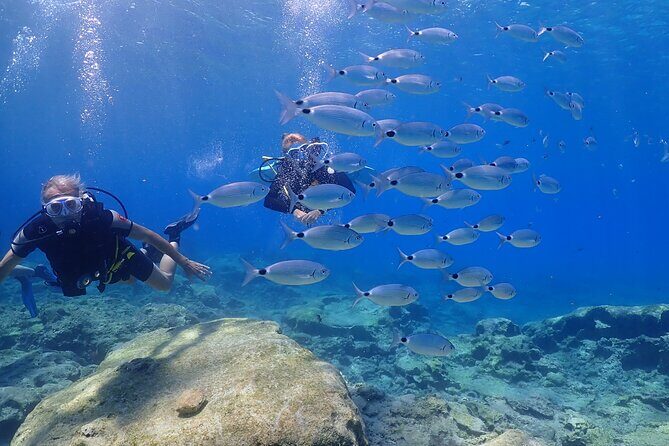 Introductory diving in small groups - Practical Details