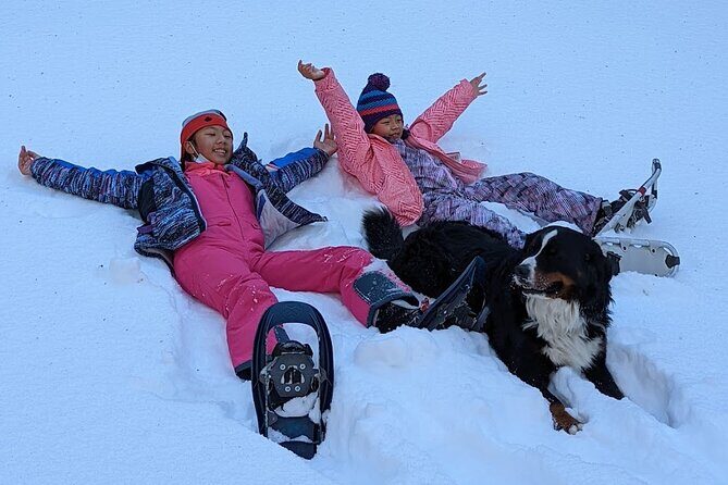 Introductory Guided Snowshoe Tour - Starting Point and Meeting Logistics