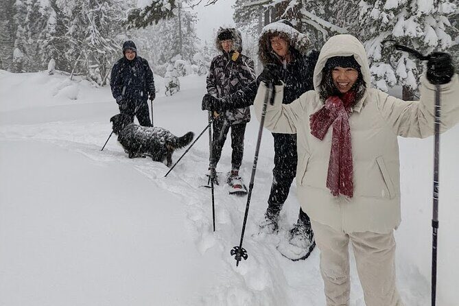 Introductory Guided Snowshoe Tour - Equipment and Introduction