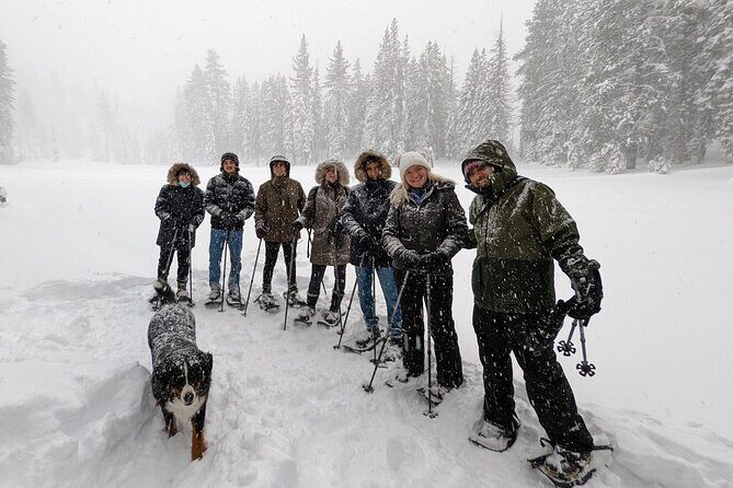 Introductory Guided Snowshoe Tour - Duration and Overall Pace