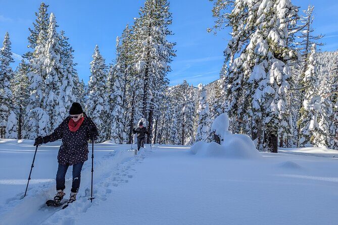 Introductory Guided Snowshoe Tour - Cancellation and Weather Policies