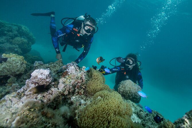 Introductory Scuba Diving Experience in Bora Bora - What Travelers Say