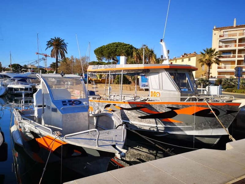 Introductory scuba diving - The Sum Up: Who Will Love This Tour?