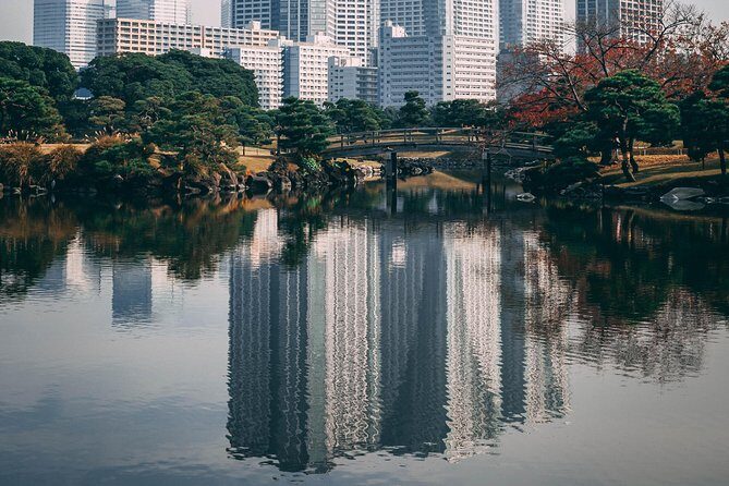 Introductory Tokyo Tour for the first timers: learn basic Travel tips and tricks - A Closer Look at the Experience