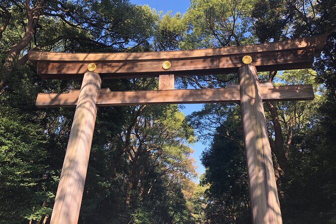 Introductory Tokyo Tour for the first timers: learn basic Travel tips and tricks - Why This Tour Is Worth It