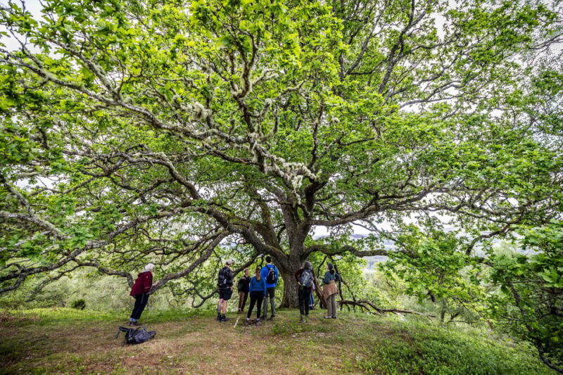 Inverness: Lochs, Waterfalls and Rewilding Experience - The Experience in Detail