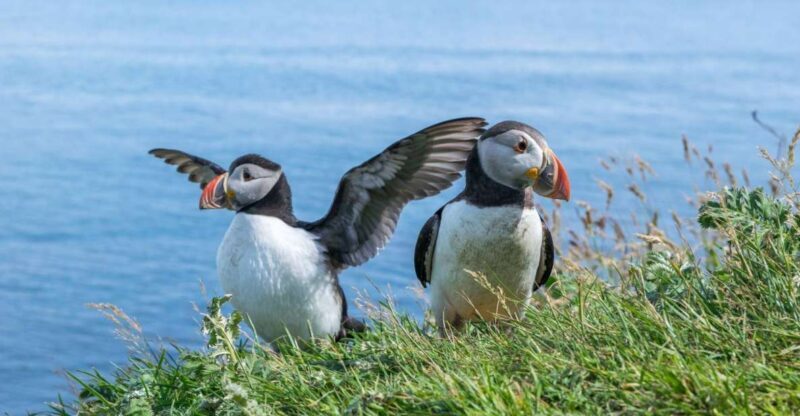 Inverness: Moray Coast, Wildlife and Speyside Whisky Tour - Key Points