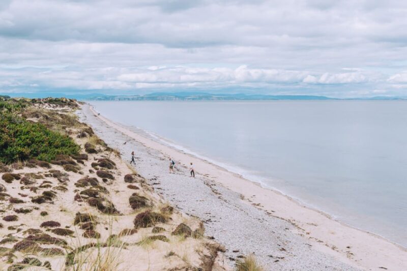 Inverness: Moray Coast, Wildlife and Speyside Whisky Tour - Wrapping Up the Day in Carrbridge and Returning to Inverness