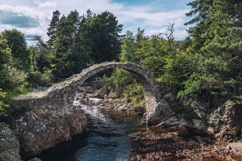 Inverness: Moray Coast, Wildlife and Speyside Whisky Tour - Who Will Love This Tour?