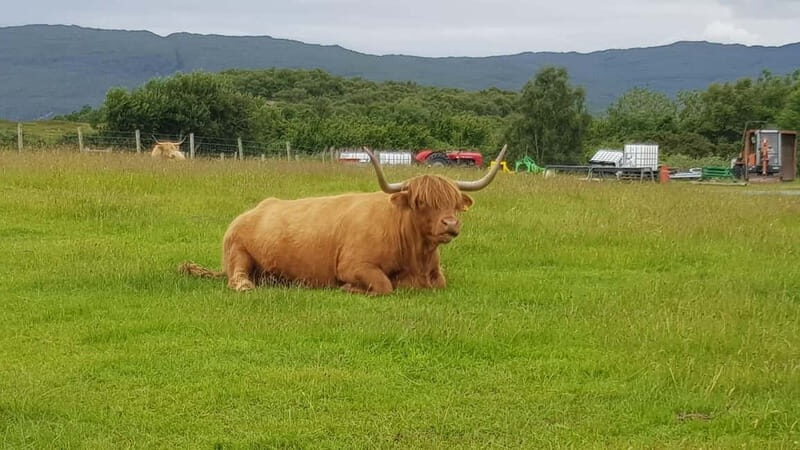 Inverness: Outlander Tour, Culloden, Clava Cairns & more - Final thoughts