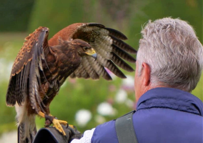 Inverness: Relaxed Private Northern Scottish Highlands Tour - Who Is This Tour Best For?
