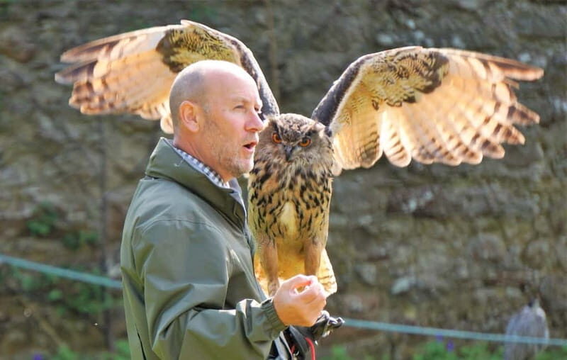 Inverness: Relaxed Private Northern Scottish Highlands Tour - Frequently Asked Questions
