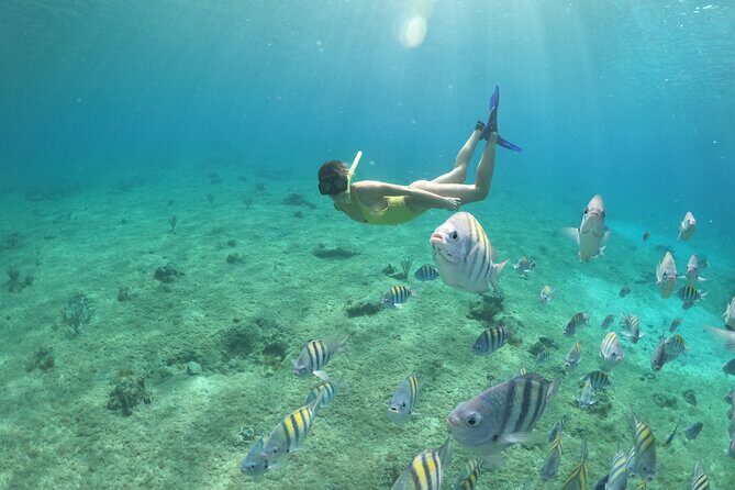 Invisible Boat Snorkeling Tour - The Experience from the Reviews
