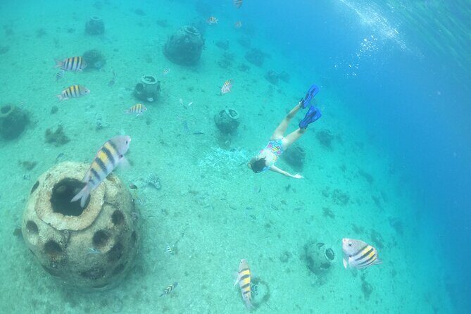 Invisible Boat Snorkeling Tour - Who Will Love This Tour?