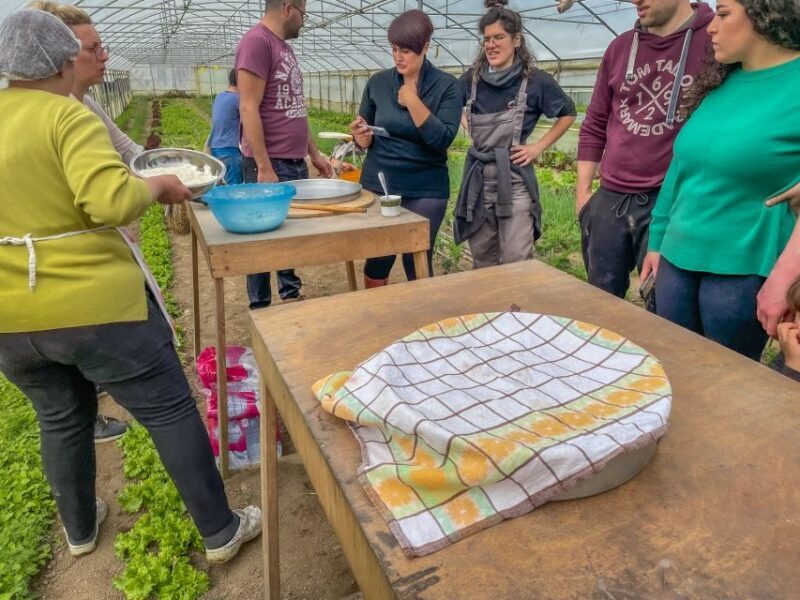Ioannina: East Zagori Farming Experience & Cooking Class - Who Will Appreciate This Tour?