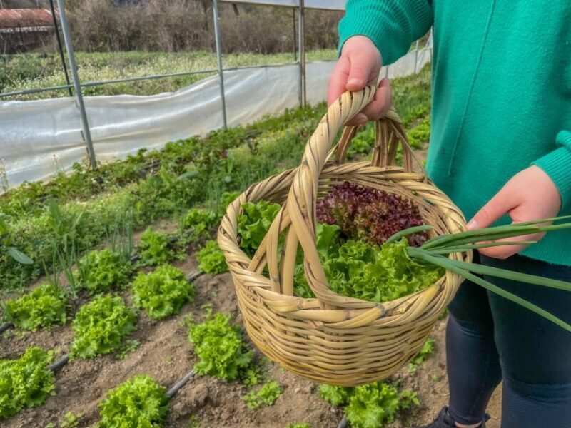Ioannina: East Zagori Farming Experience & Cooking Class - FAQs
