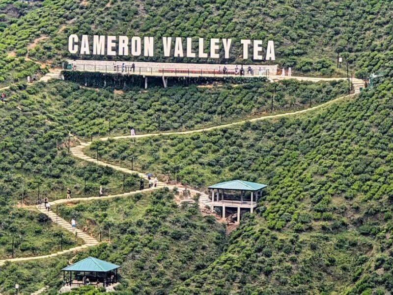Ipoh: Cameron Highlands Day Tour tea plantation with lunch - Who Would Enjoy This Tour?