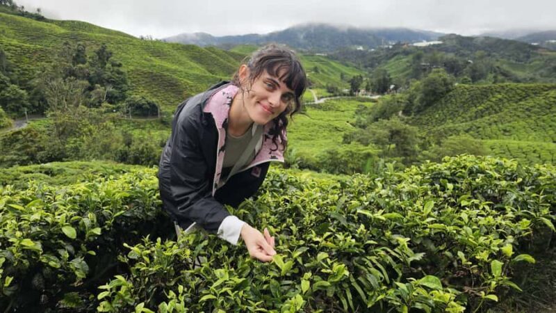 Ipoh: Cameron Highlands Private Day Trip with Driver - Final Thoughts