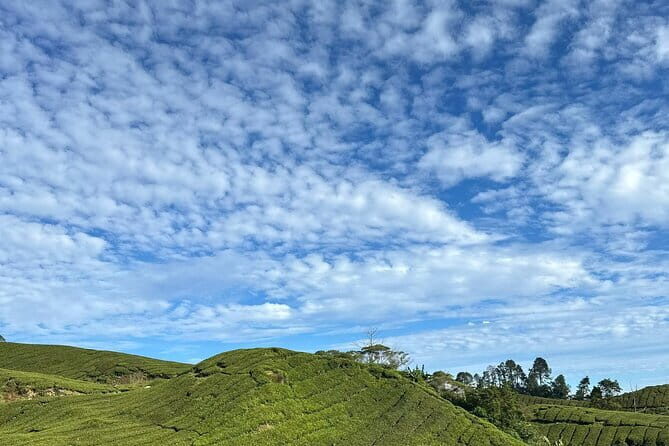 Ipoh Hotels to Kuala Lumpur Airport - The Experience and Real Traveler Feedback