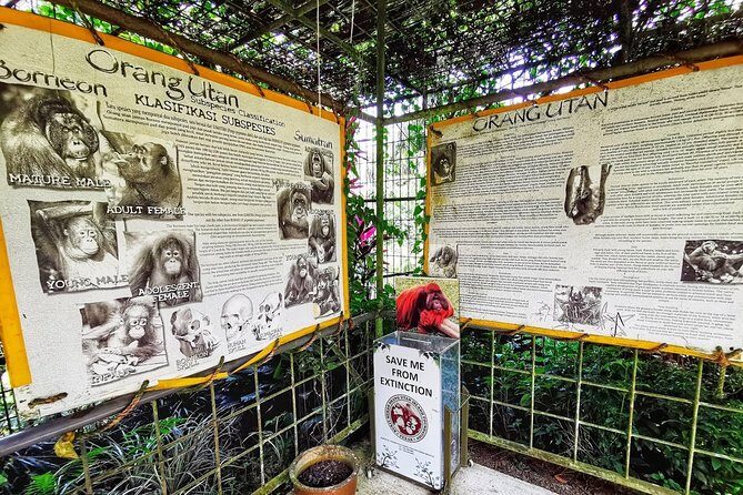 Ipoh & Orang Utan Island Day Tour from Kuala Lumpur - The Sum Up